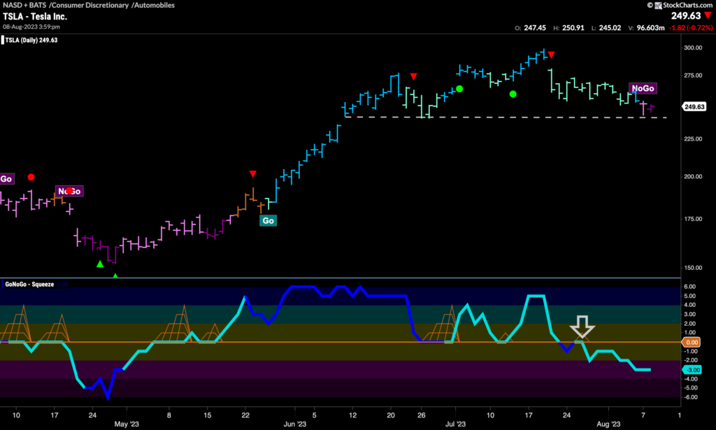 $TSLA enters "NoGo" as it tests key level - GoNoGo Charts