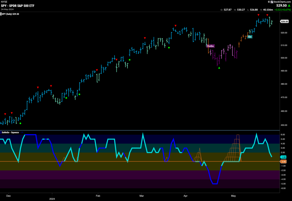 CHART PACK REVIEW FOR THE WEEK ENDING May 25th, 2024 - GoNoGo Charts