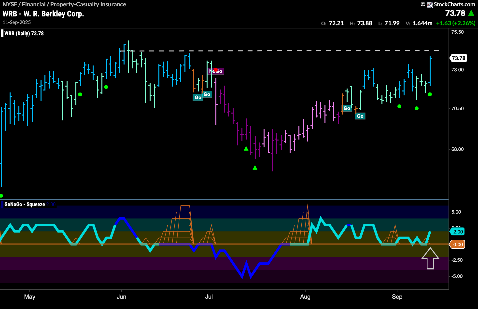 Better Decisions, Better Results - GoNoGo Charts